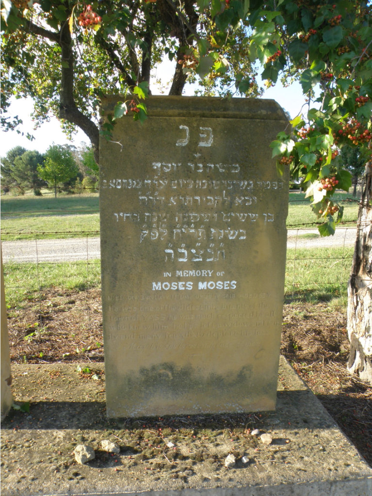 Sarah Moses: Tell the World I Died for Love – St. John's